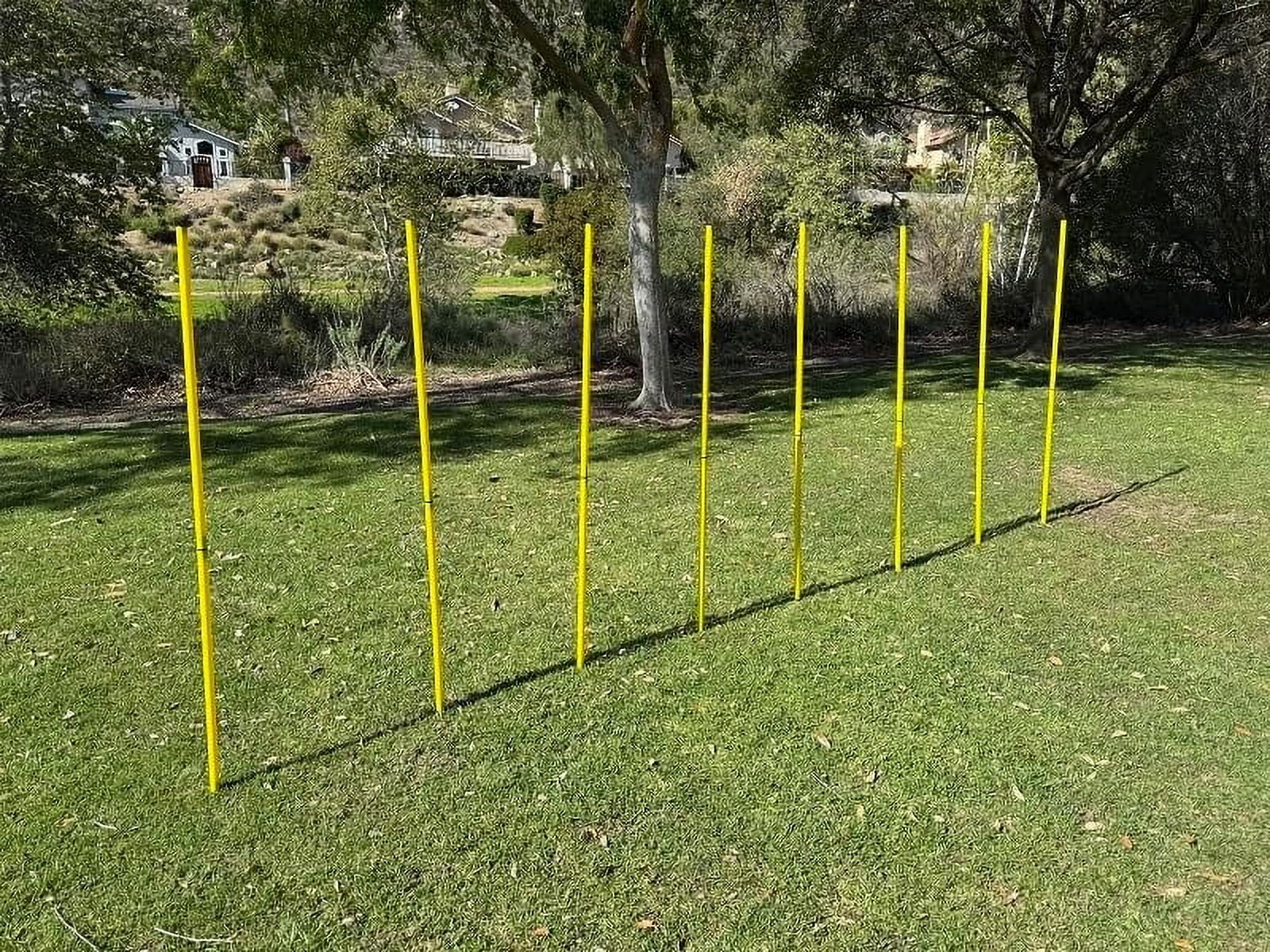 BlueDot Soccer Agility Poles | 6ft Collapsible Training Poles (8pc) for ...