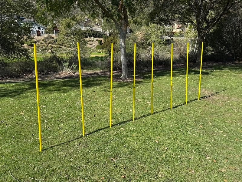 BlueDot Soccer Agility Poles | 6ft Collapsible Training Poles (8pc) for ...