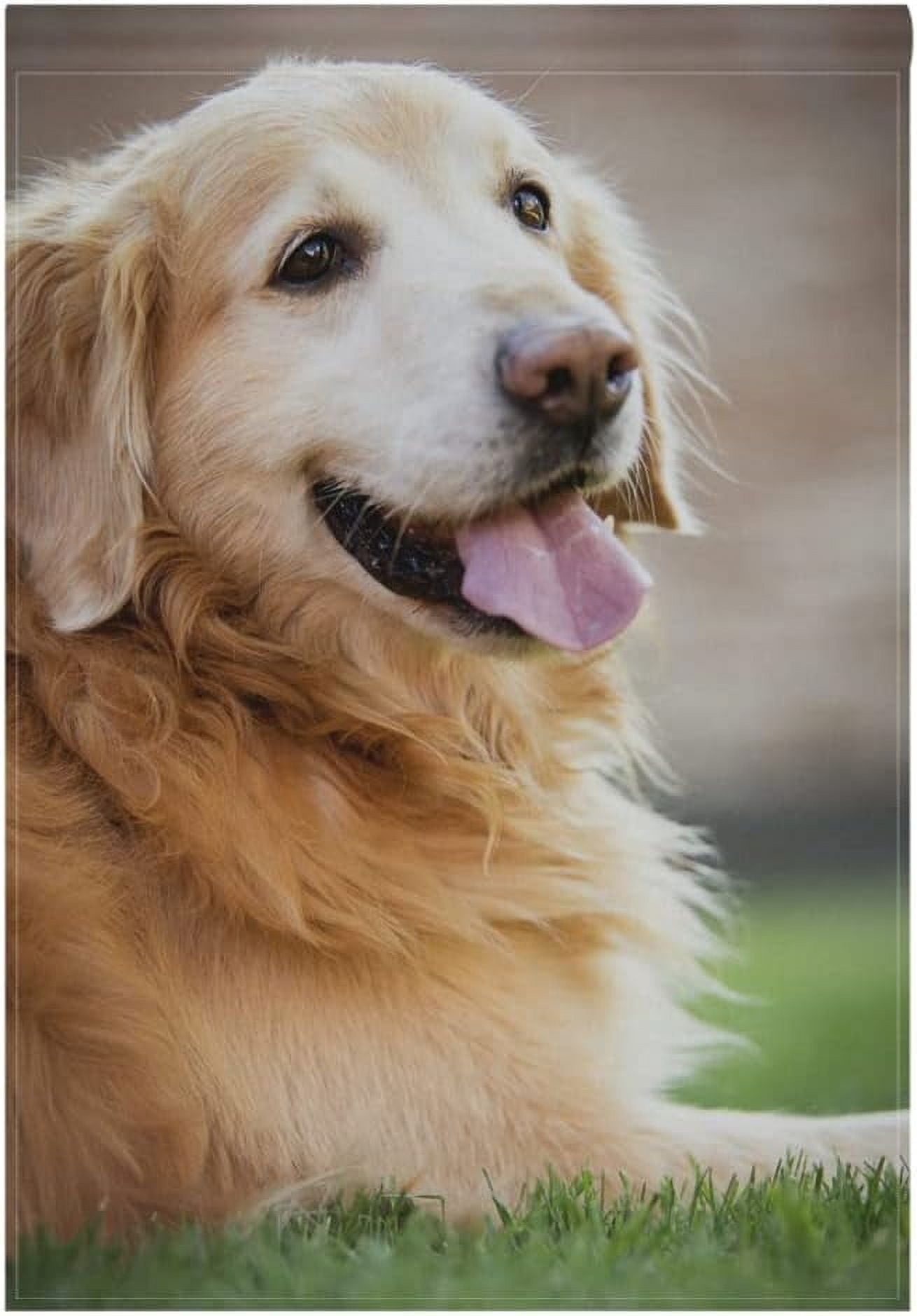 BlueViper Golden Retriever Dog Garden Flag Banner 12 x 18 Inch ...