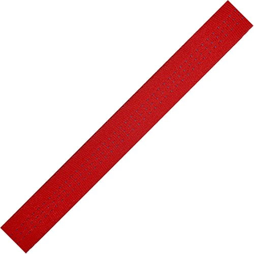 BlueWater Ropes 1" Tubular Climb-Spec Nylon Webbing (Red, 300 ...