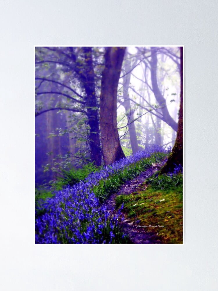 Bluebells in the Forest Rain Canvas Poster Decor Landscape Office Room ...