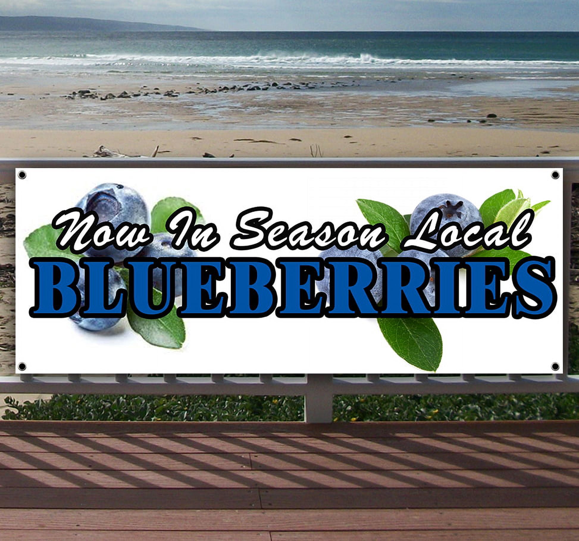 Blueberries 13 oz heavy duty vinyl banner sign with metal grommets, new ...