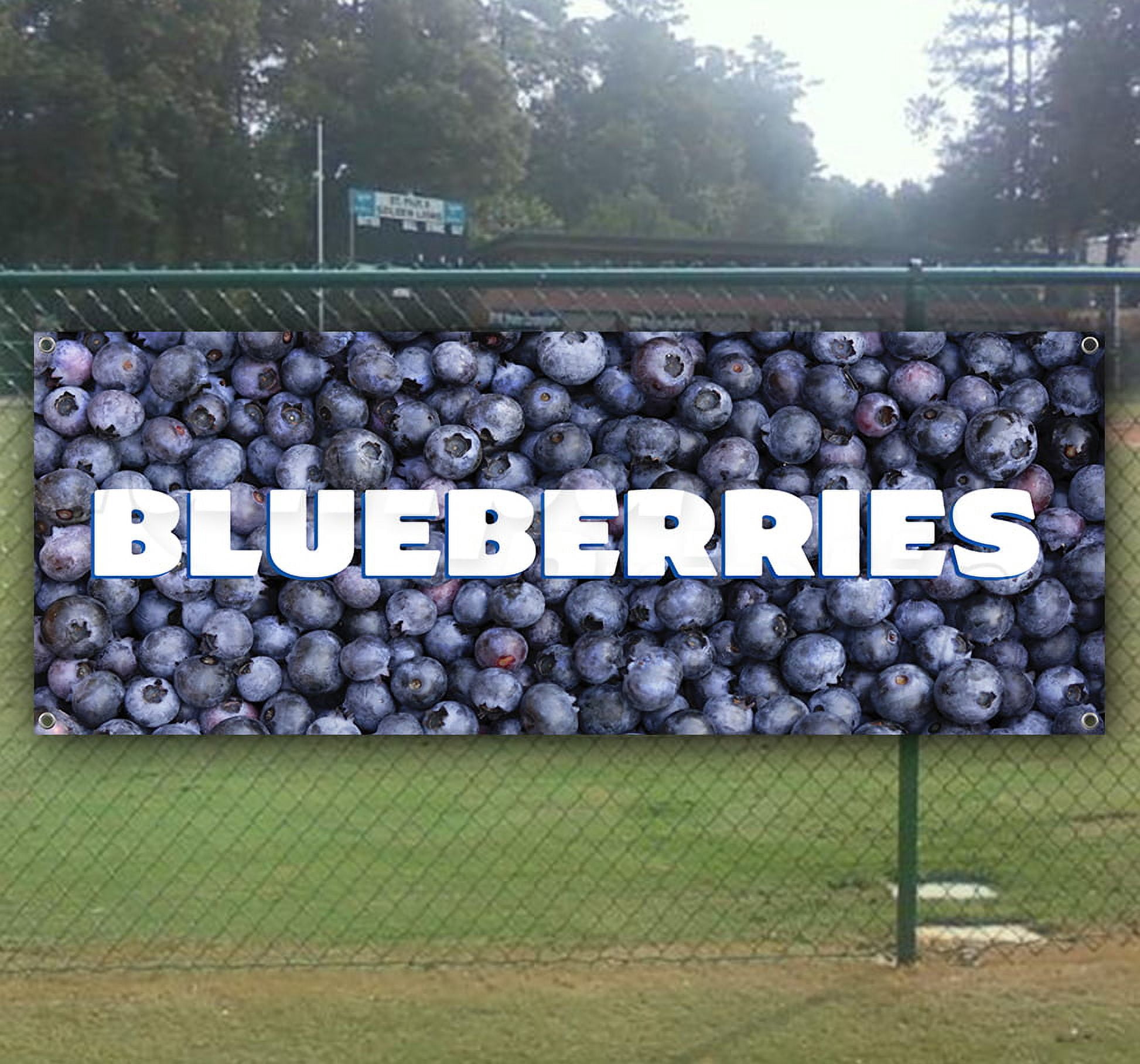 Blueberries 13 oz heavy duty vinyl banner sign with metal grommets, new ...
