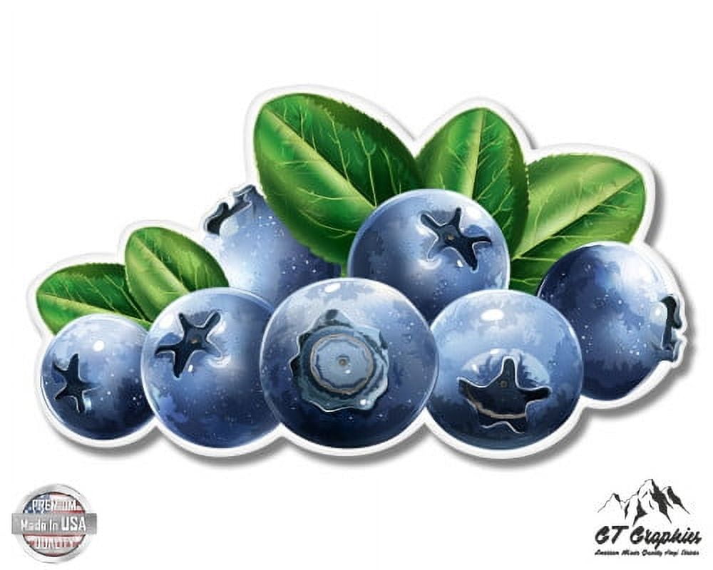 Blueberries Berries Healthy Food - 8" Vinyl Sticker - For Car Laptop I ...