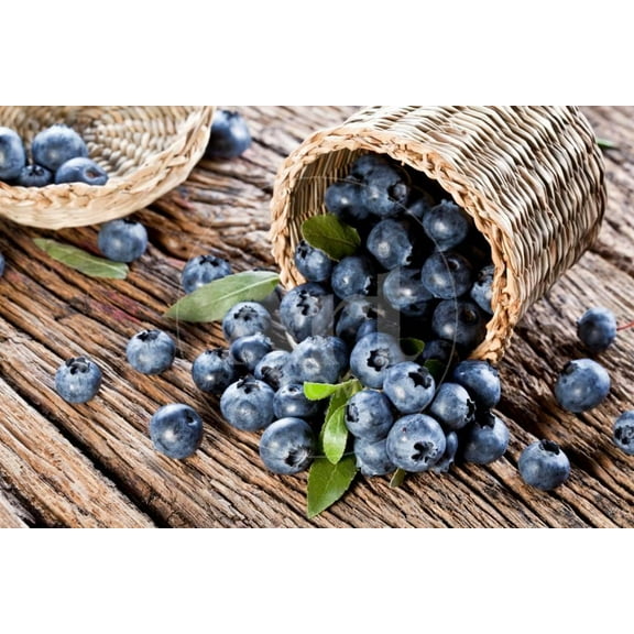 Arthur Rackham 14x18 Gold Ornate Wood Frame and Double Matted Museum ...