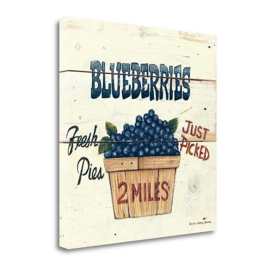 Blueberries Just Picked By David Carter Brown, 20" x 20" Fine Art ...