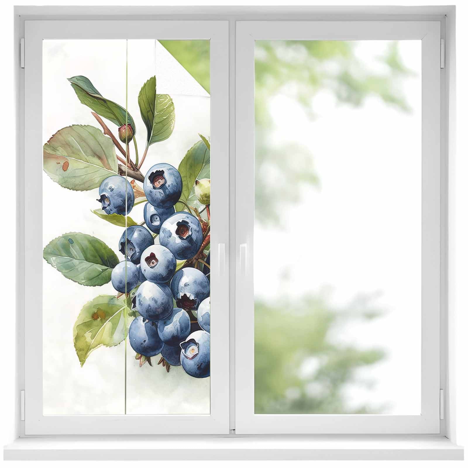 Blueberries Window Privacy Film, Farmhouse Blue Fruits Green Botanical ...
