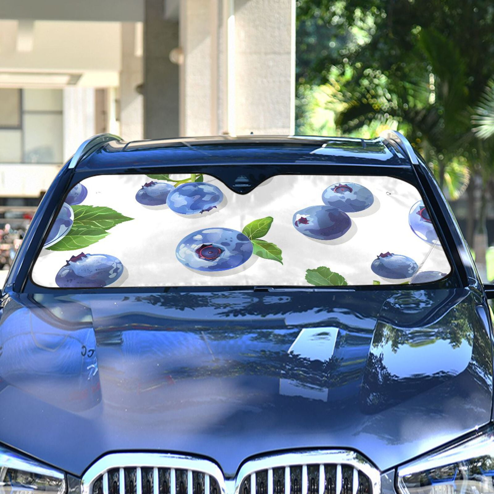 Blueberries in White Automotive Front Car Windshield Sun Shade ...