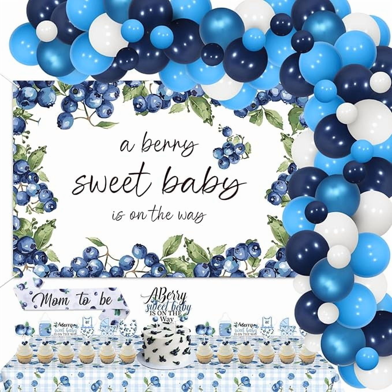 Blueberry Baby Shower Decorations, a Berry Sweet Baby Is On the Way ...