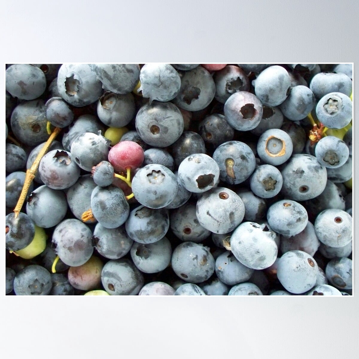 Blueberry Bag Poster Wall Art, Modern Wall Decor For Living Room ...
