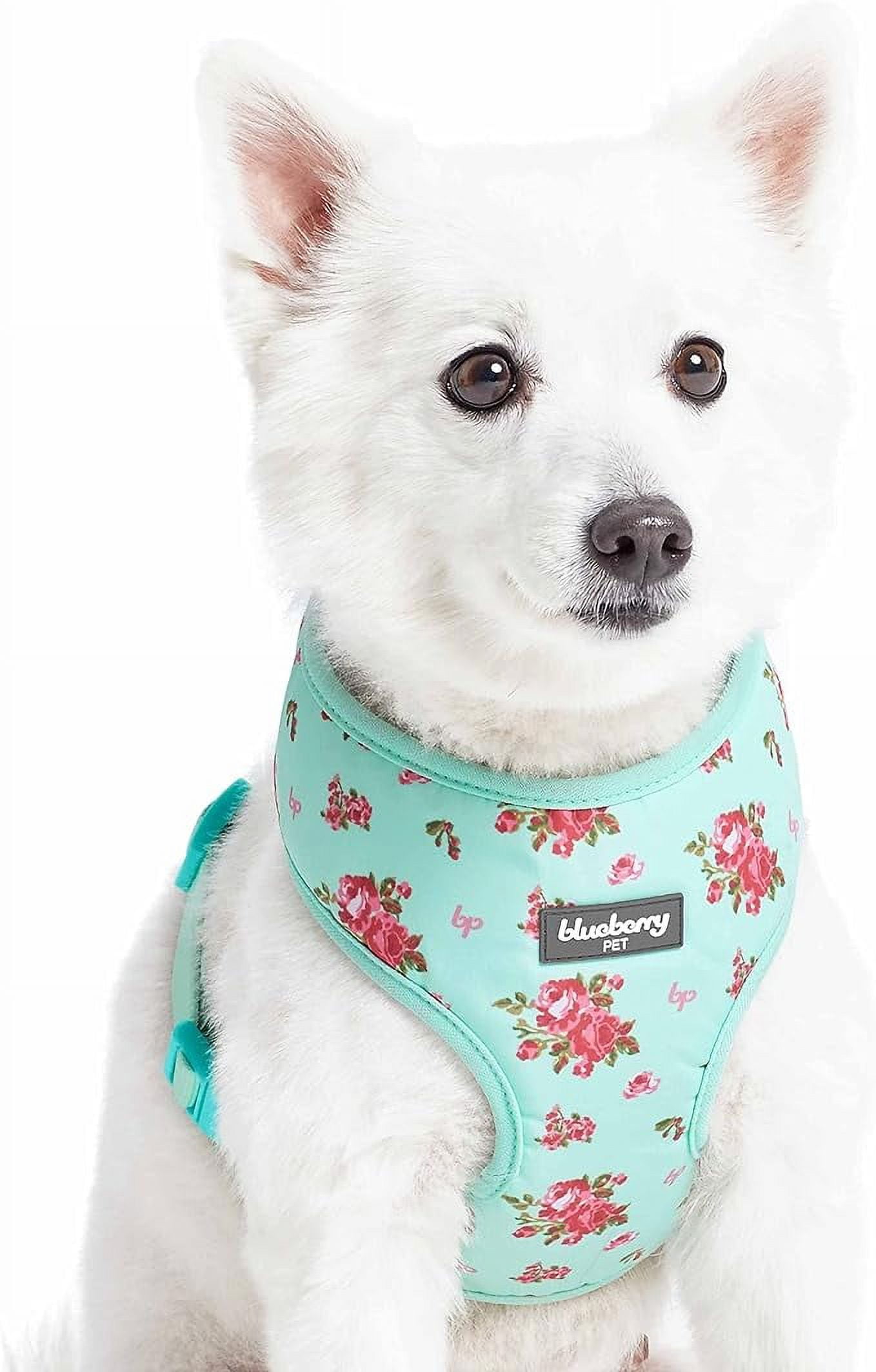Blueberry Pet Soft & Comfy Spring Scent Inspired Floral Turquoise Dog ...