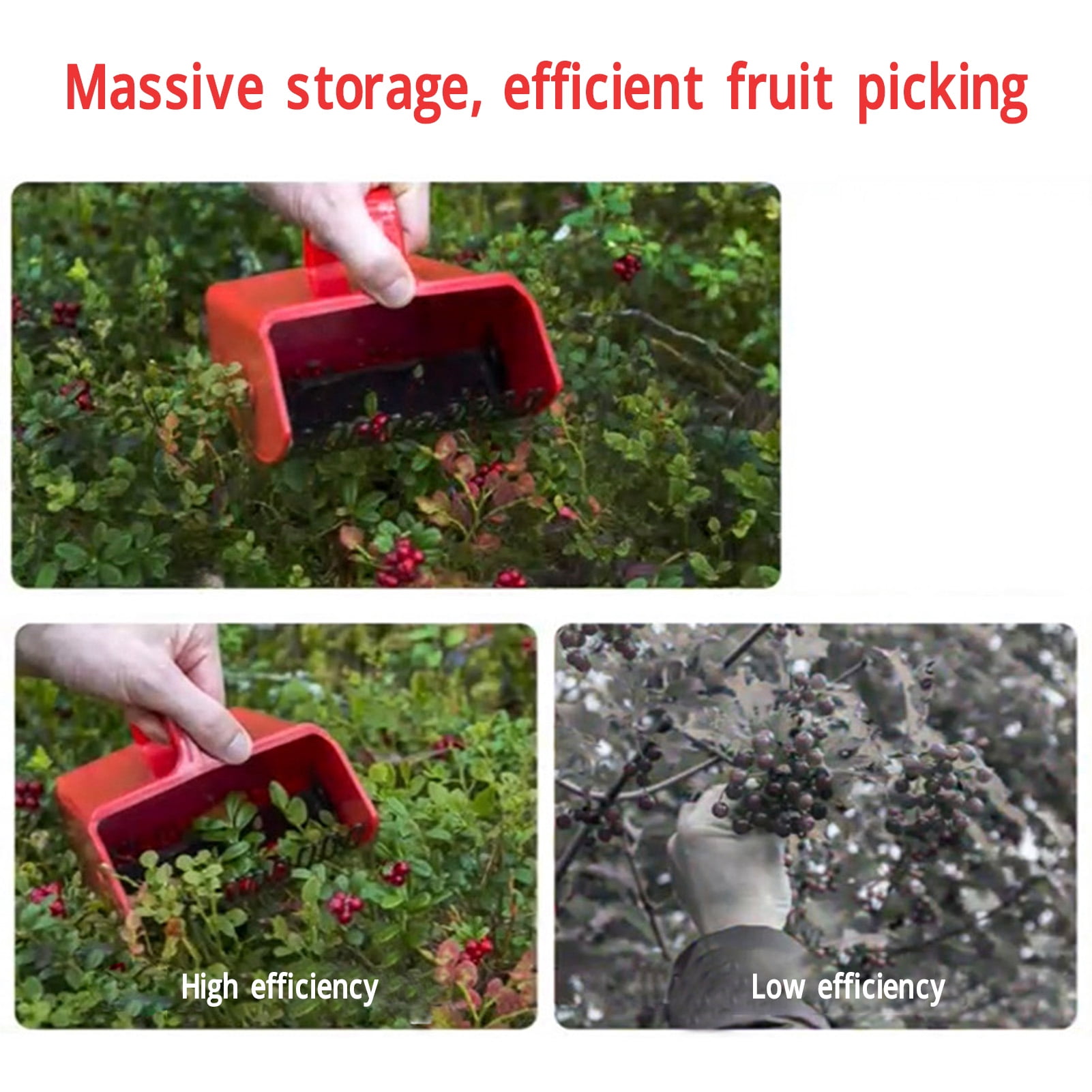 Blueberry Picker Tool - Efficient Harvesting With Comfortable Grip ...
