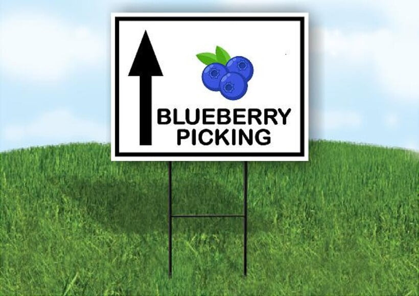 Blueberry Picking Straight Arrow Black Yard Sign Road Sign (Excluding ...