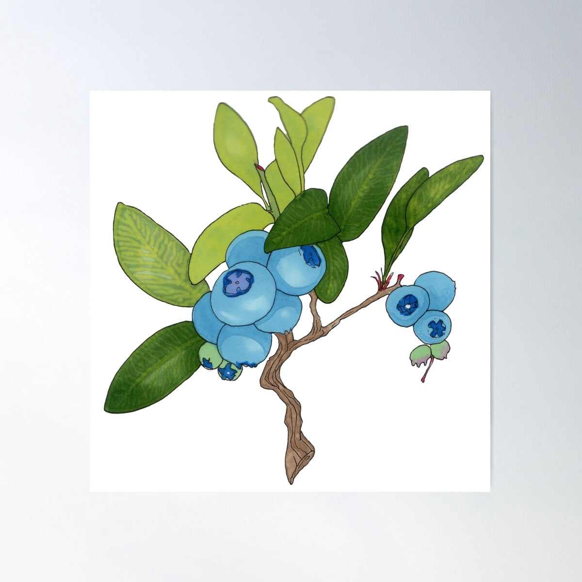 Blueberry Poster Wall Art, Modern Wall Decor For Living Room Bedroom ...