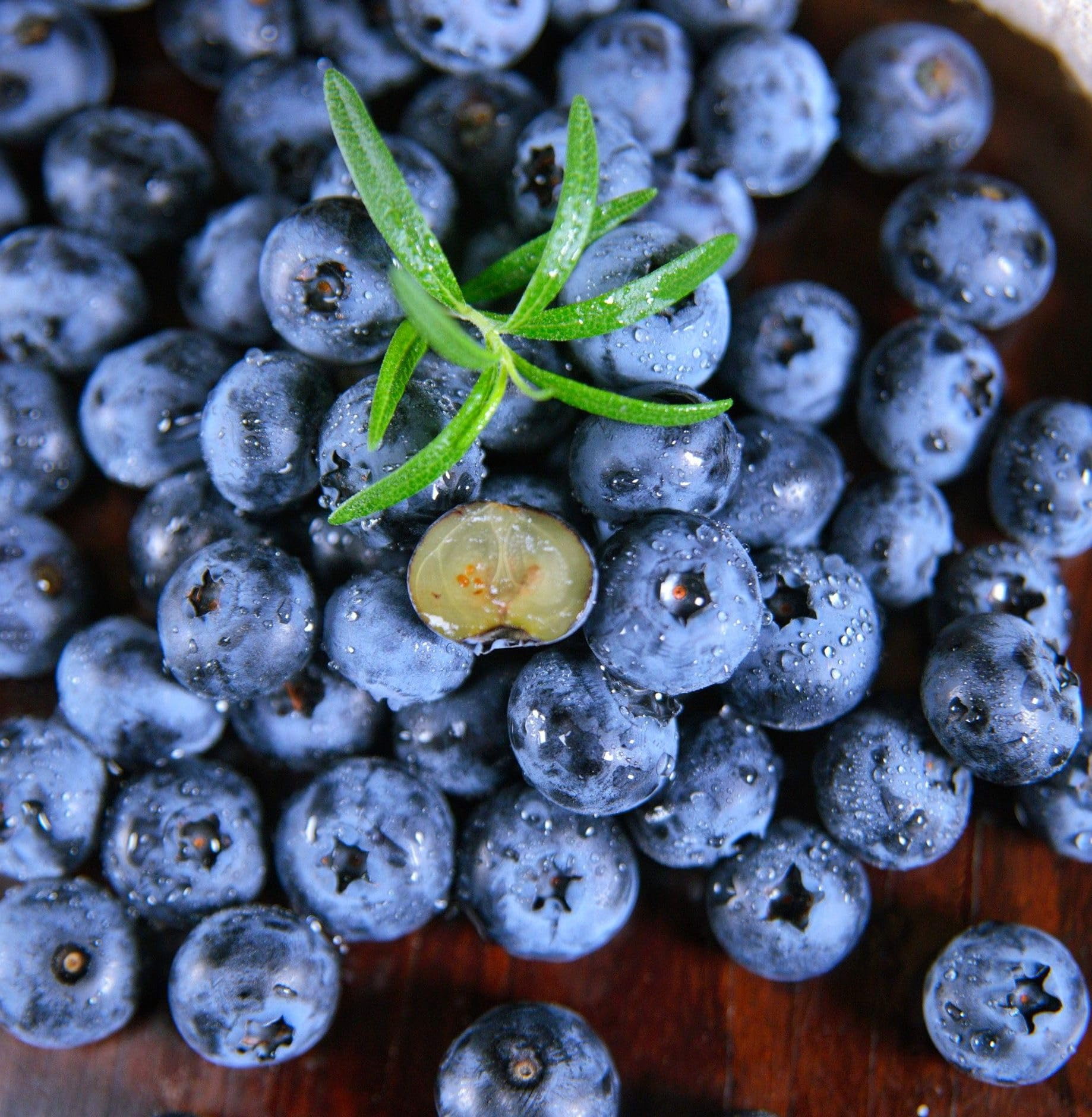 Blueberry Seeds for Planting 200 Pcs H2FSD - Walmart.com