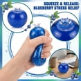 Blueberry Shaped Squeeze, Slow Rising Stress Ball, Squeeze Balls for ...