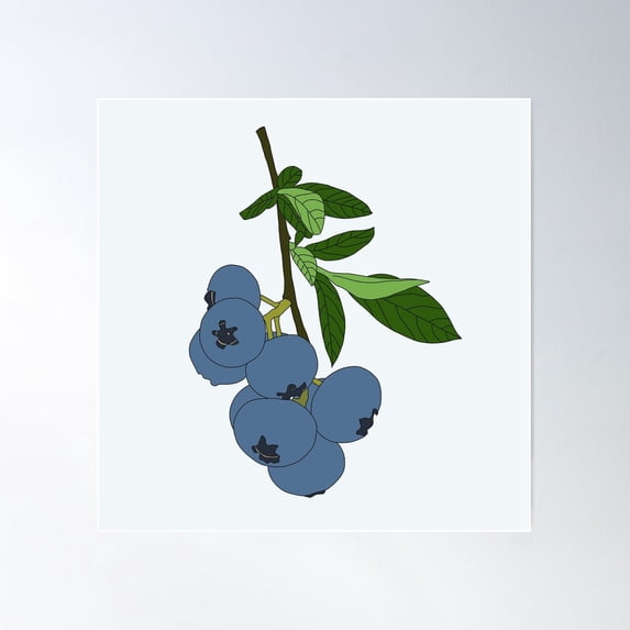 Blueberry Sweet Fruit Poster Wall Art, Modern Wall Decor For Living ...