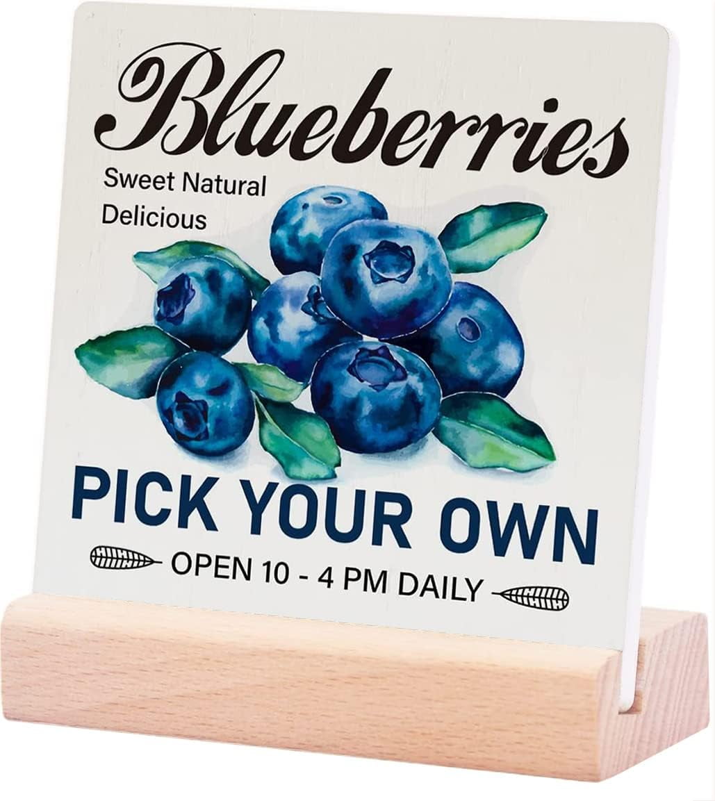 Blueberry Table Sign Rustic Country Blueberries Ceramic Table Plaque ...
