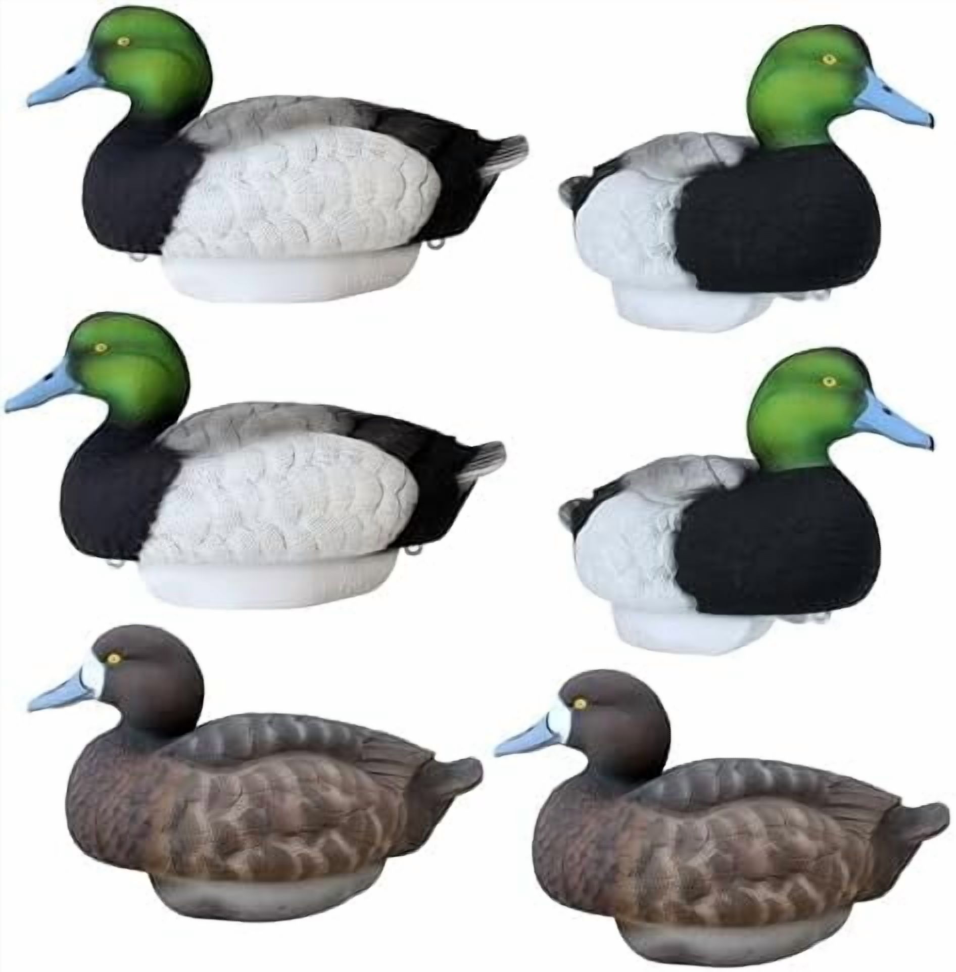 Bluebill Duck Decoys by Heyday – Ultra-Light 100% HydroFoam | Durable ...