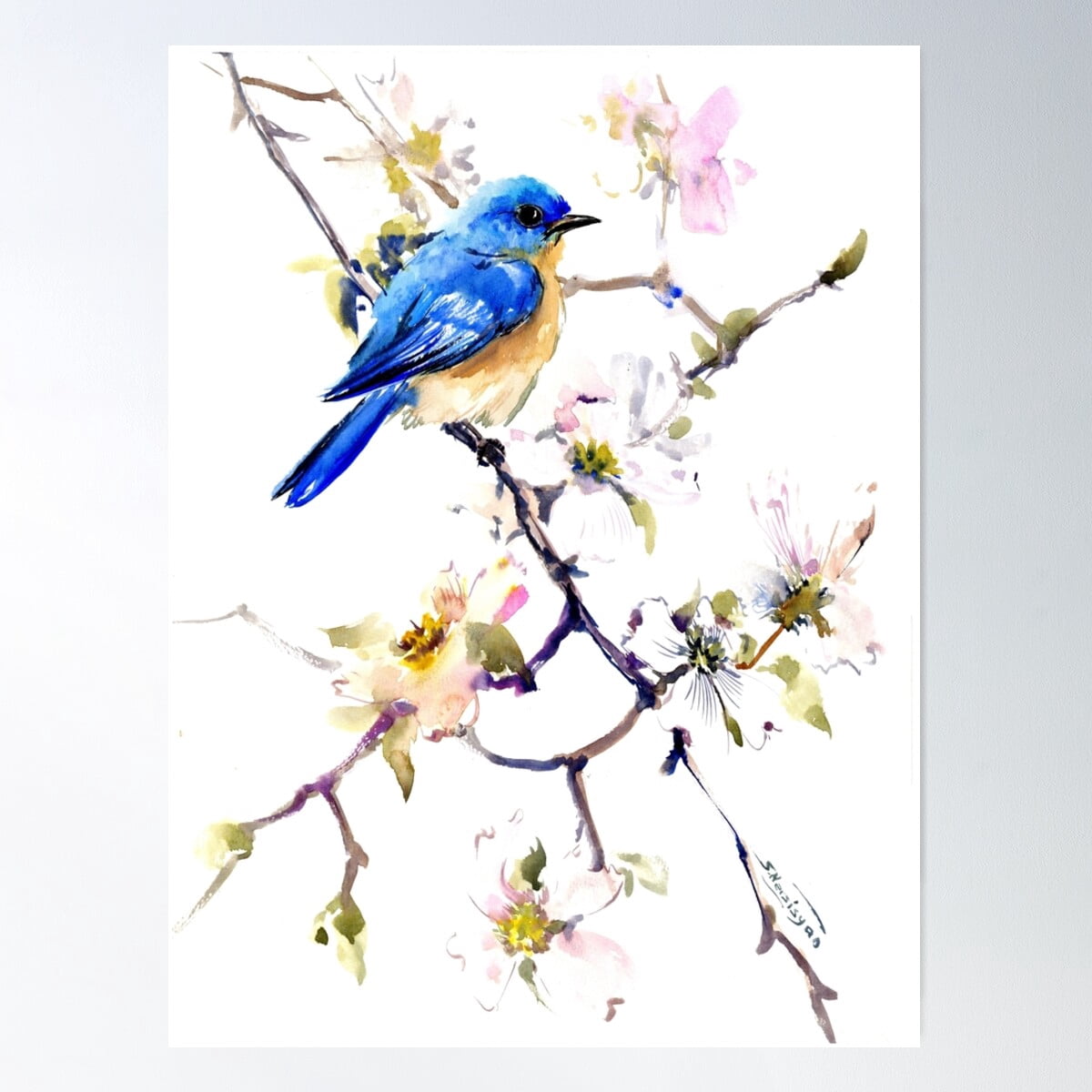 Bluebird And Dogwood Poster Wall Art, Modern Wall Decor For Living Room ...