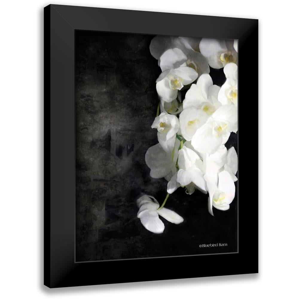 Bluebird Barn 12x14 Black Modern Framed Museum Art Print Titled ...