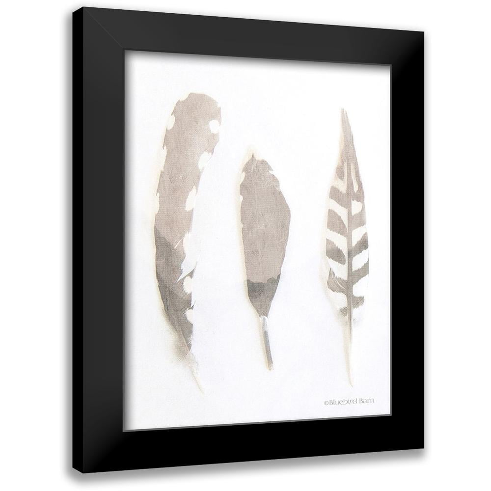 Bluebird Barn 12x14 Black Modern Framed Museum Art Print Titled - Soft Feathers Study - Walmart.com