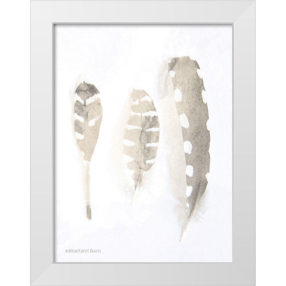 Bluebird Barn 12x14 White Modern Wood Framed Museum Art Print Titled - Neutral Feathers Study ...