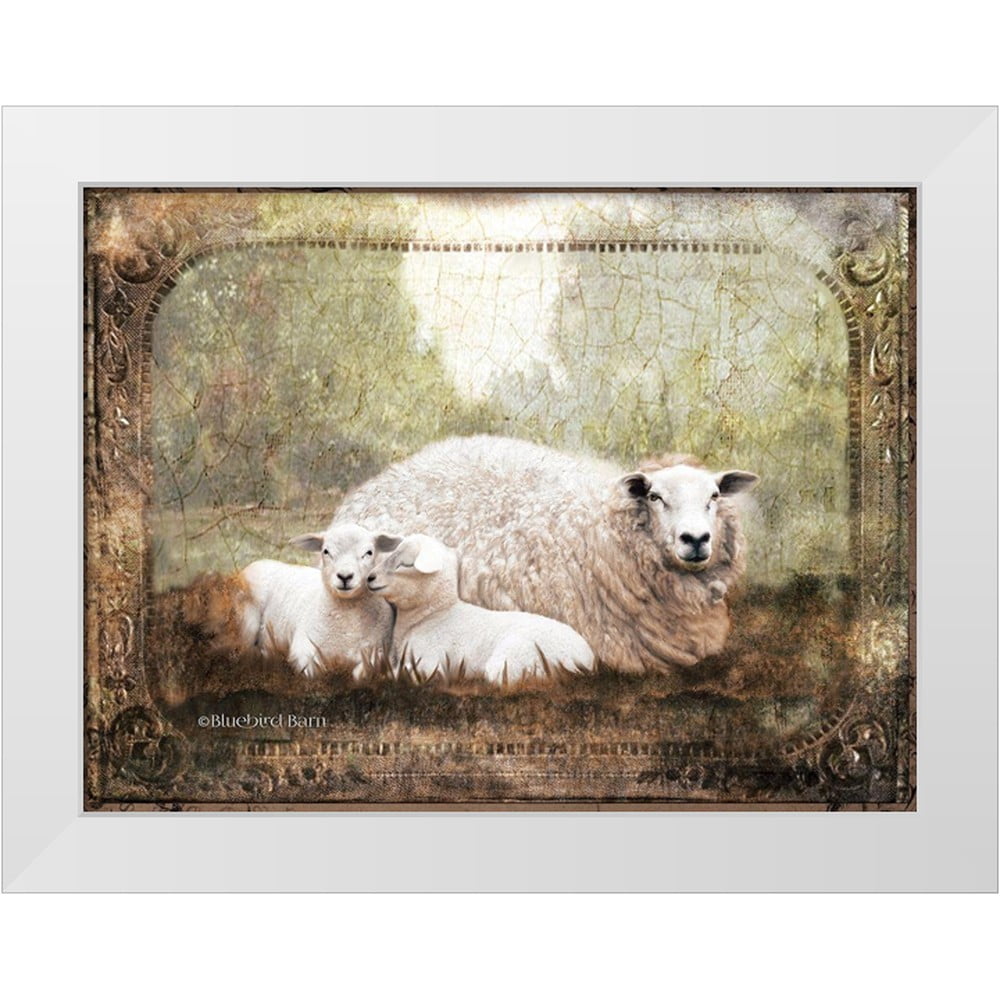 Bluebird Barn 14x12 White Modern Wood Framed Museum Art Print Titled ...