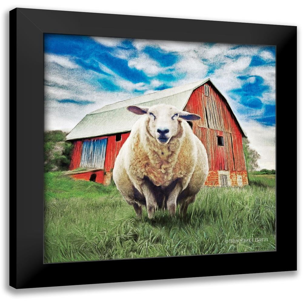 Bluebird Barn 20x20 Black Modern Framed Museum Art Print Titled ...