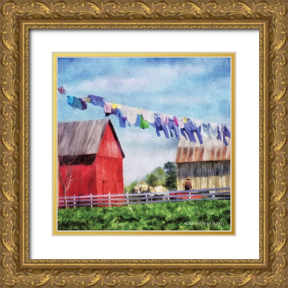 Bluebird Barn 20x20 Gold Ornate Wood Framed with Double Matting Museum ...