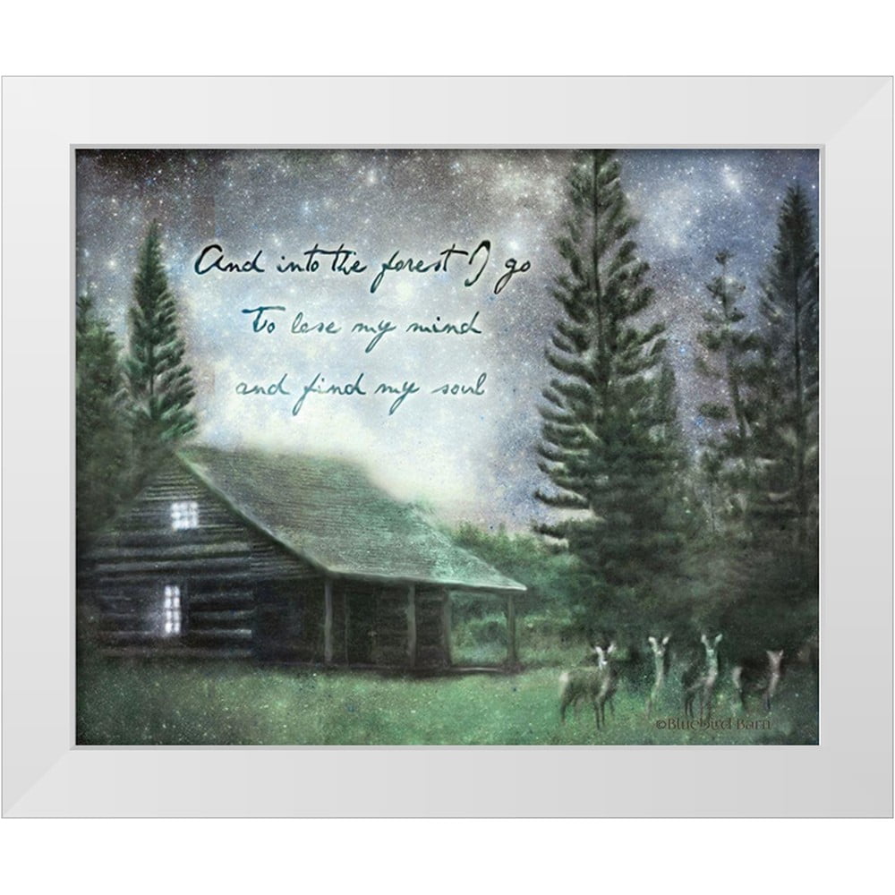 Bluebird Barn 31x26 White Modern Wood Framed Museum Art Print Titled ...