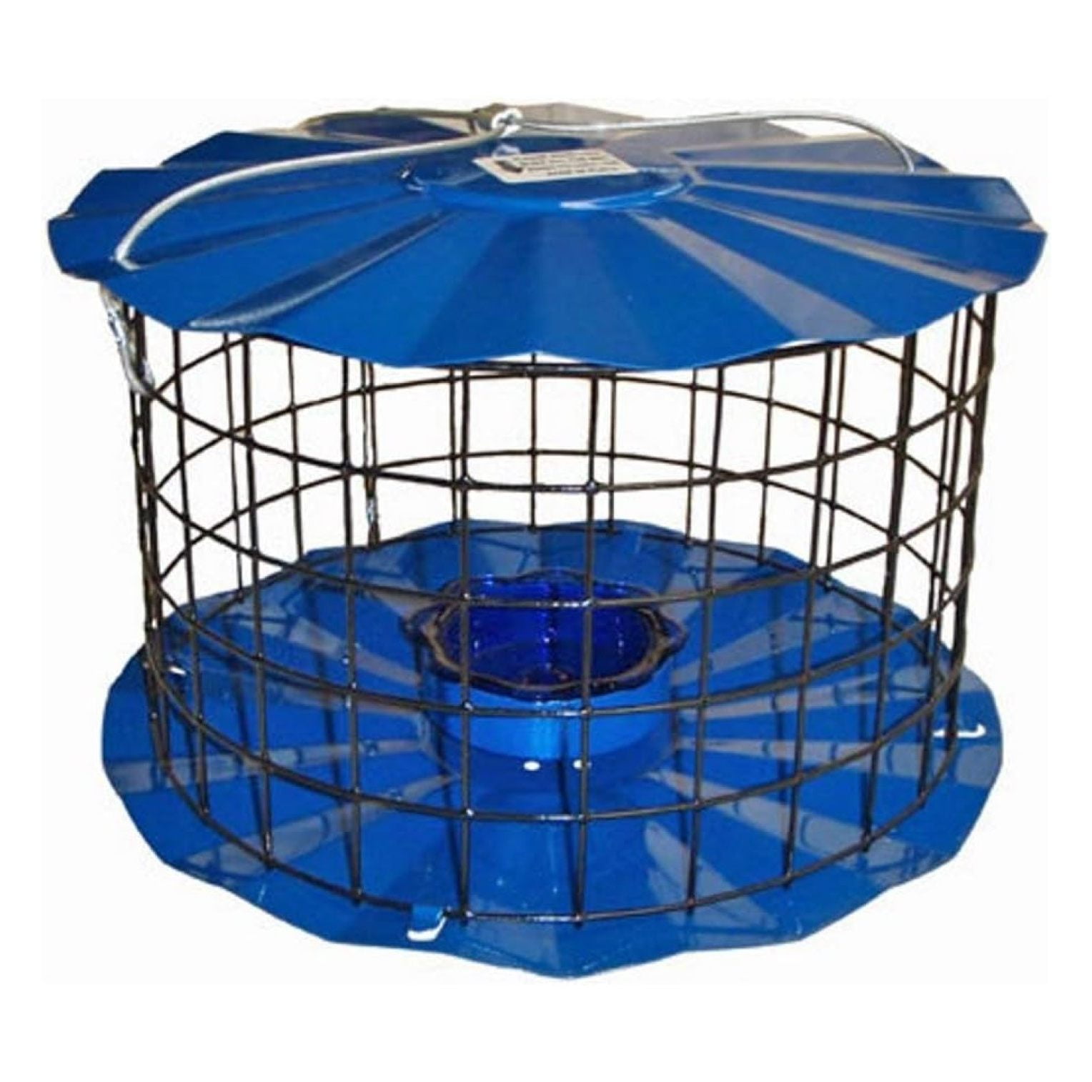 Bluebird Feeder - Includes Meal Worm Cup - Designed to Keep Squirrels ...