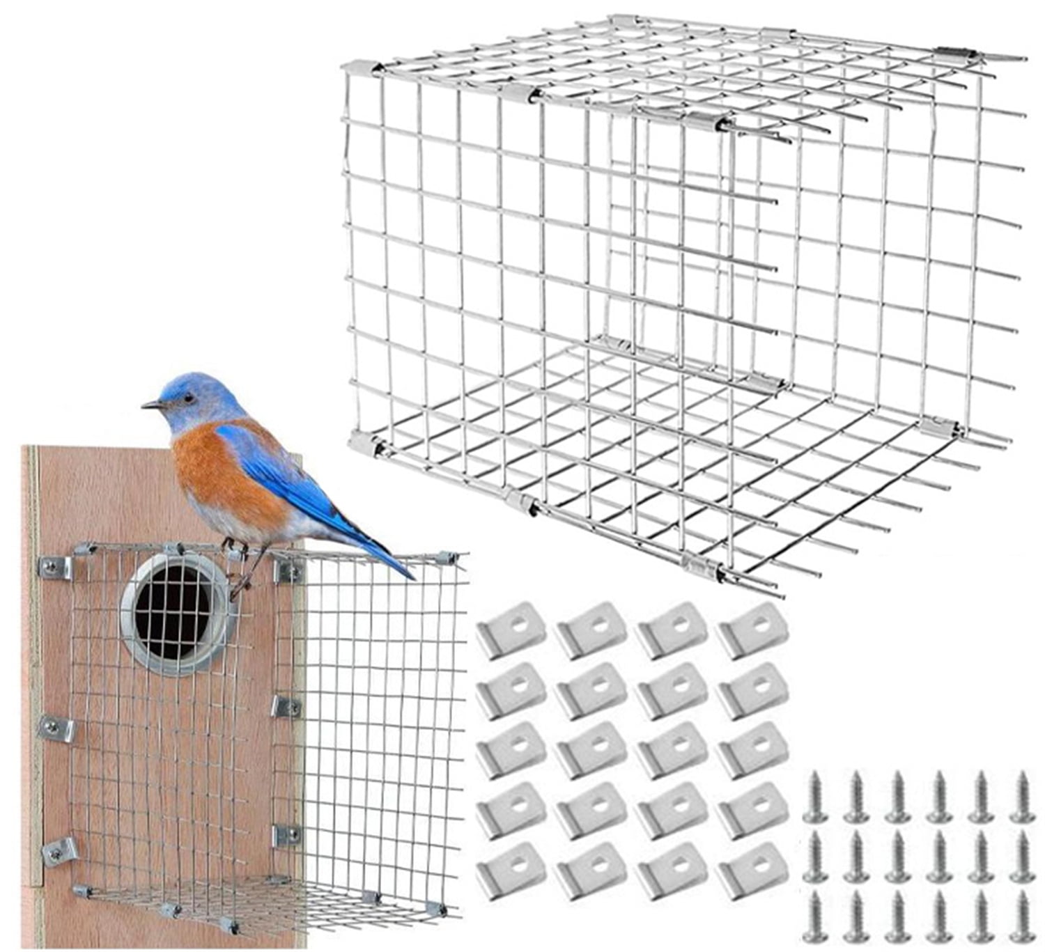 Bluebird House Predator Guard,Bexikou Bird House Hole Protector ...