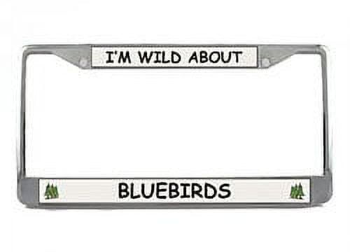 Bluebird License Plate Frame (Chrome) 5 Year Warranty - Walmart.com