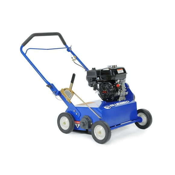 Power Rake