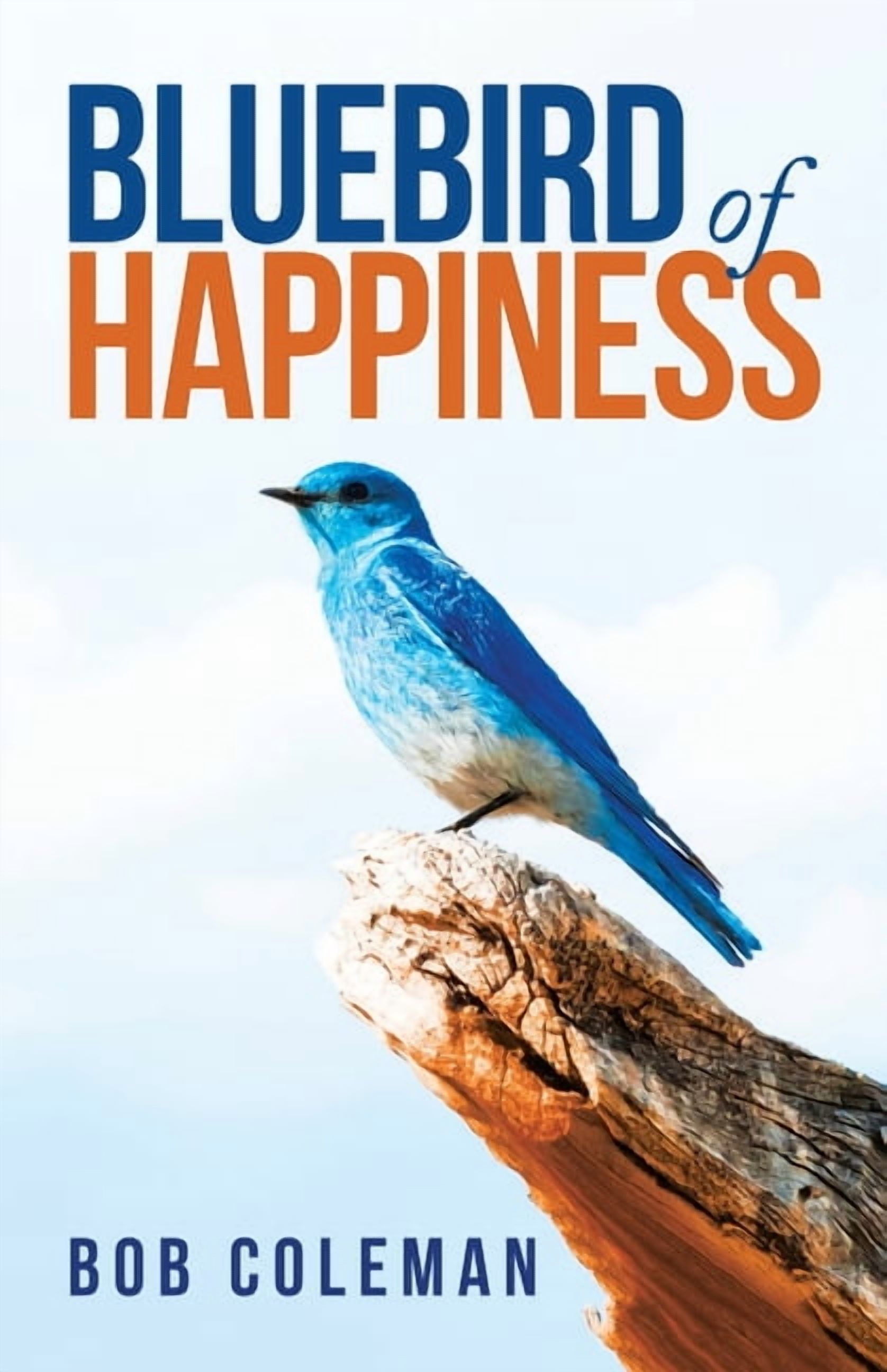 Bluebird of Happiness (Paperback) - Walmart.com