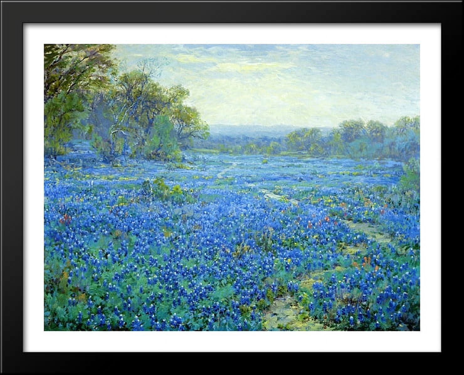 Bluebonnet Scene 36x28 Large Black Wood Framed Print Art by Robert ...