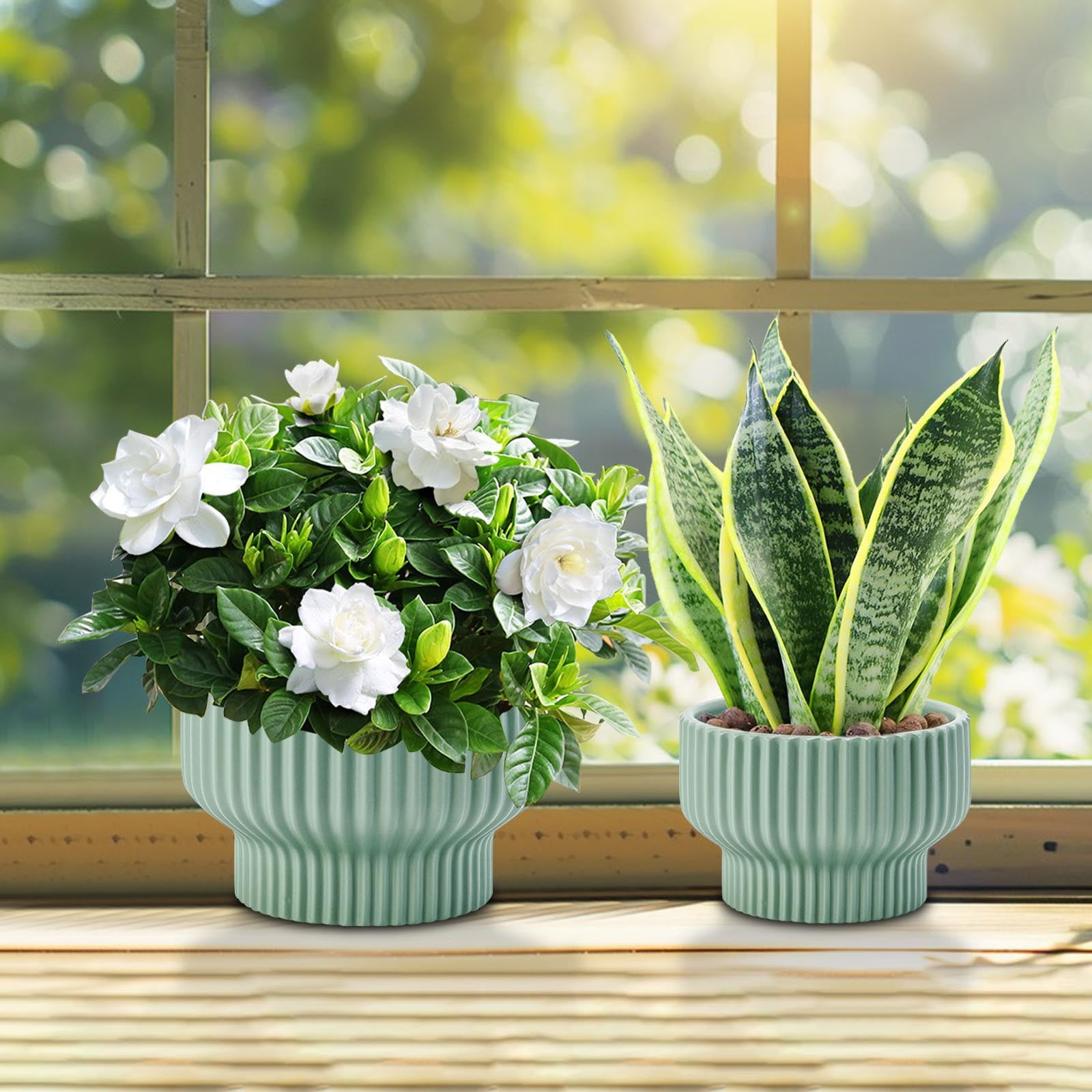 Blueek Circular Ceramic Flower pots 6 inches, Ceramic Flower pots with ...