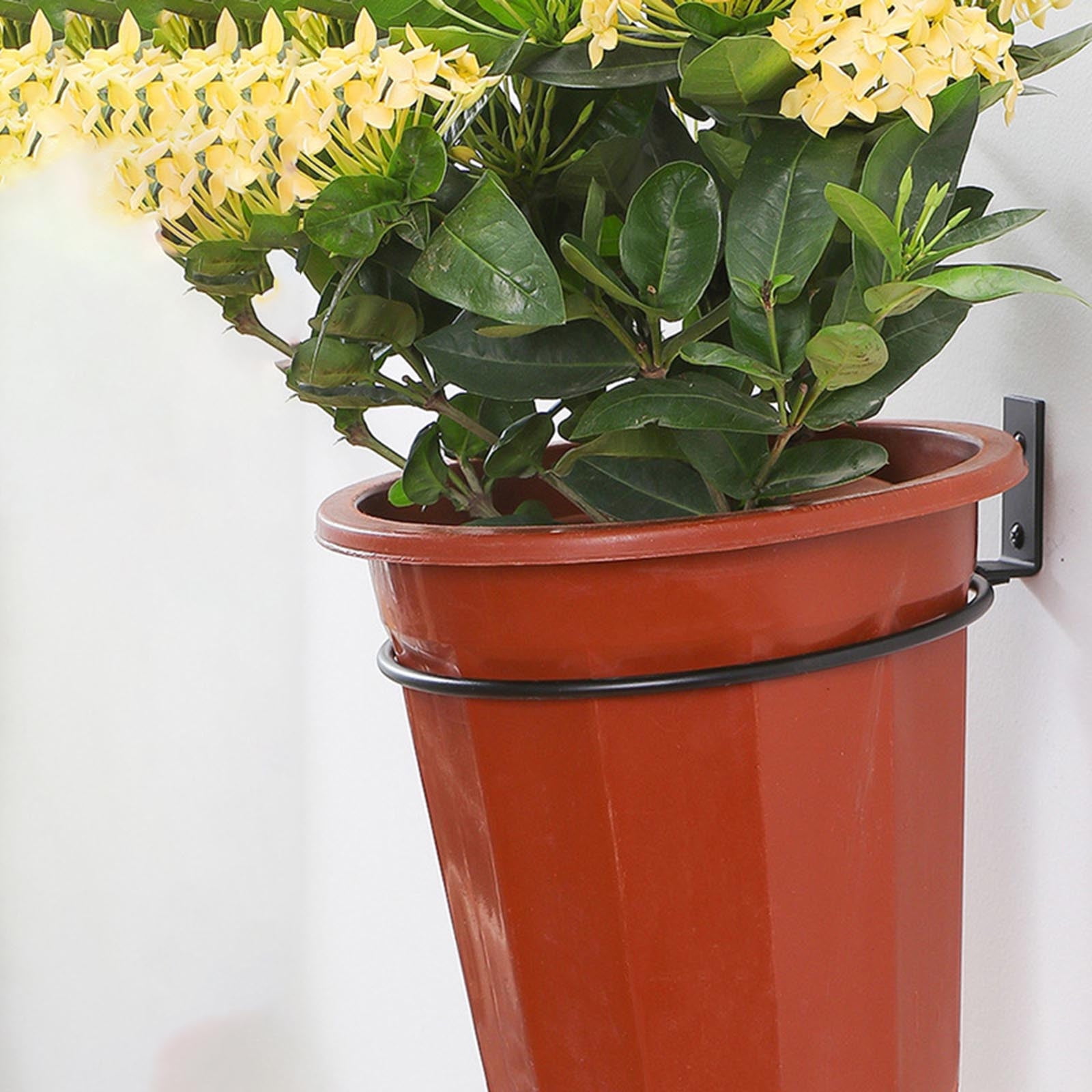 Blueek Multifunctional Balcony Railing Flower Rack - Sturdy Metal Wall ...