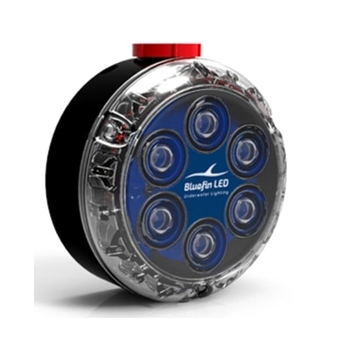 Bluefin LED DL12 Underwater Dock Light - Surface Mount - 24V ... [DL12D ...