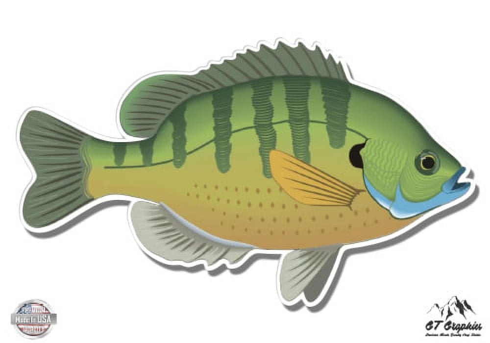 Bluegill - 12" Vinyl Sticker Waterproof Decal - Walmart.com