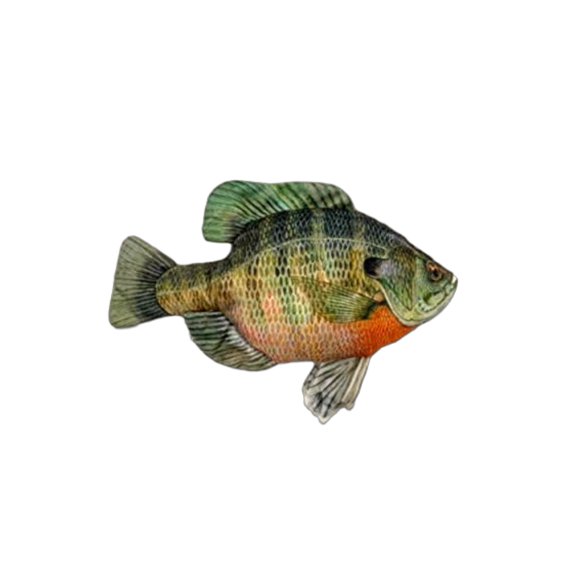 Live Bait in Fishing Baits - Walmart.com