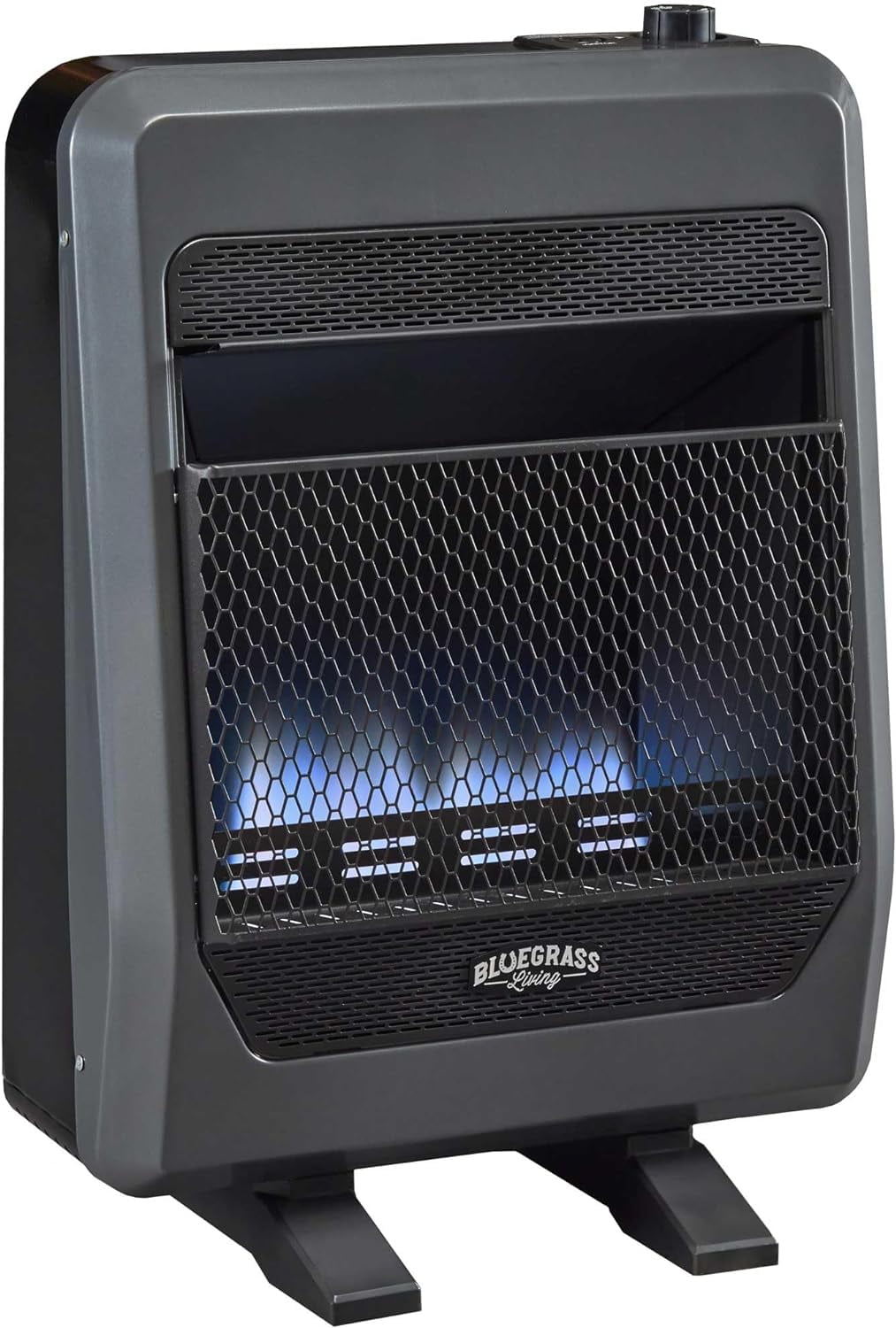 Bluegrass Living 20,000 BTU Ventless LP Gas Space Heater with Blower ...