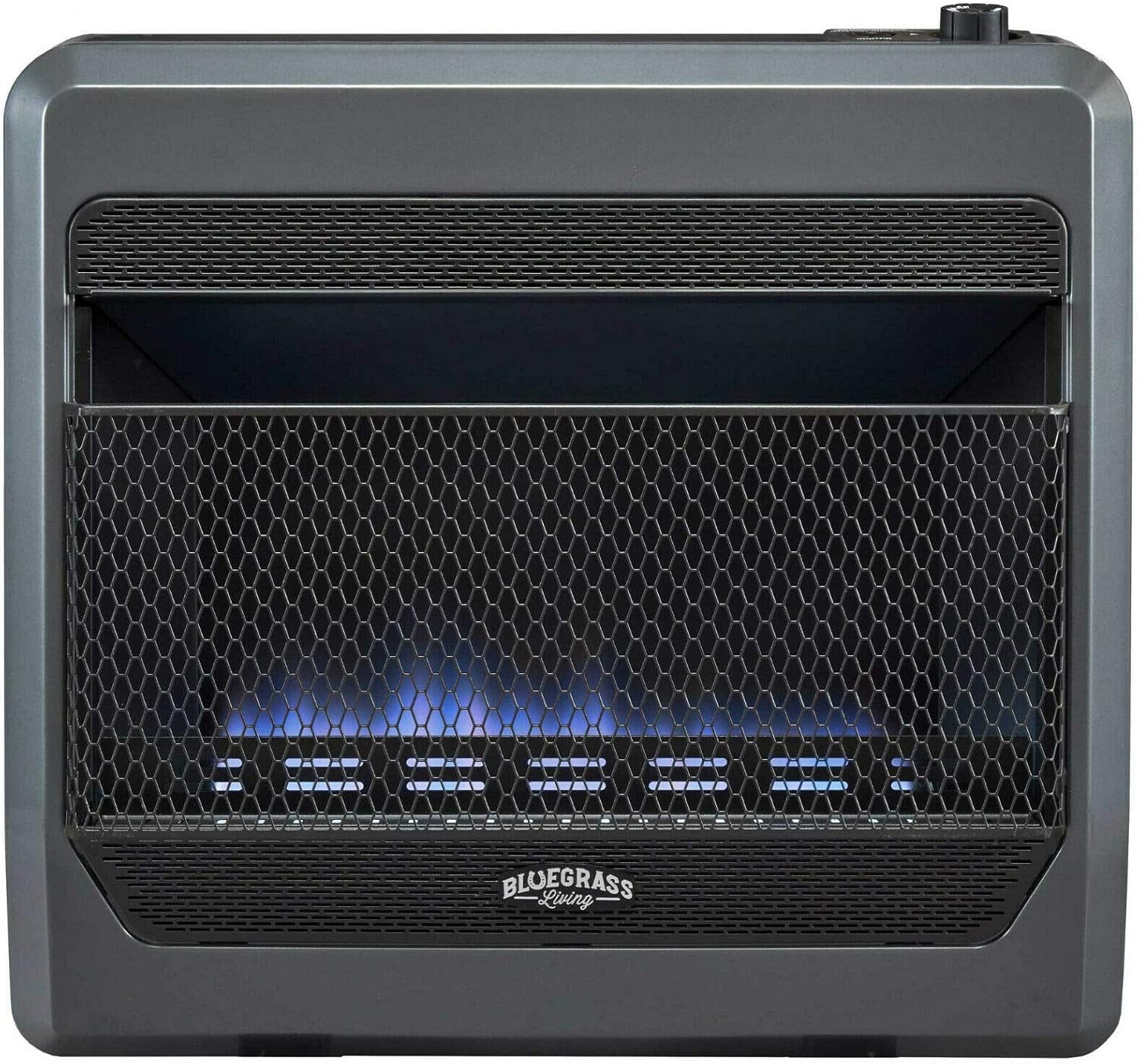 Bluegrass Living 30,000 BTU Propane Gas Space Heater, Ventless Blue ...