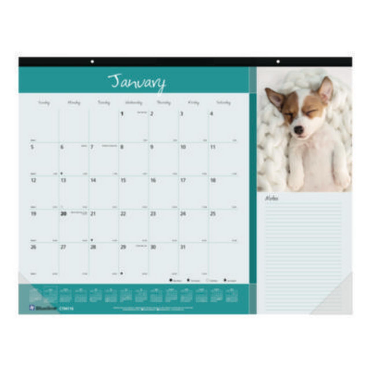 Blueline Calendar - Walmart.com