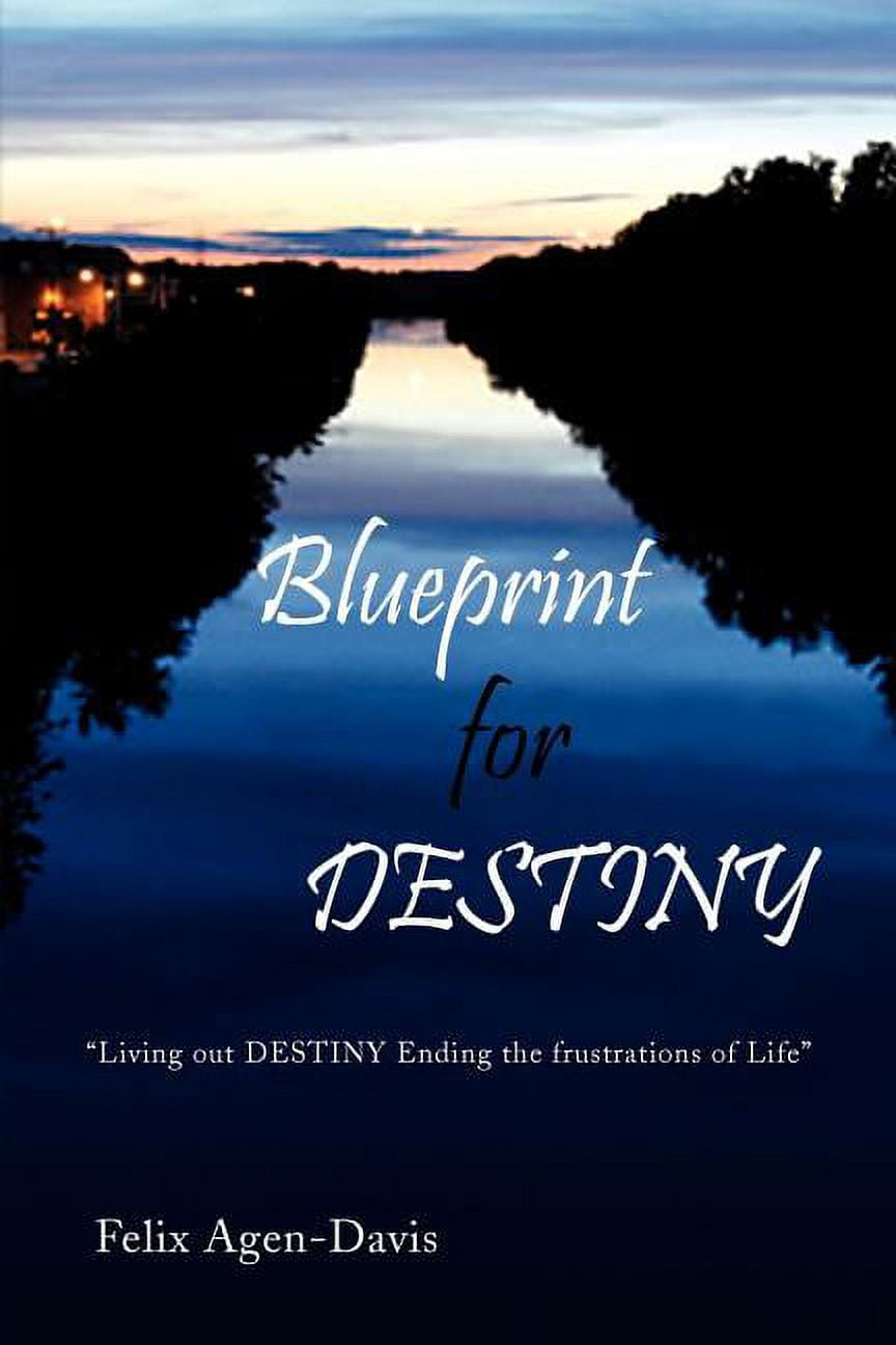 Blueprint for Destiny (Paperback) - Walmart.com