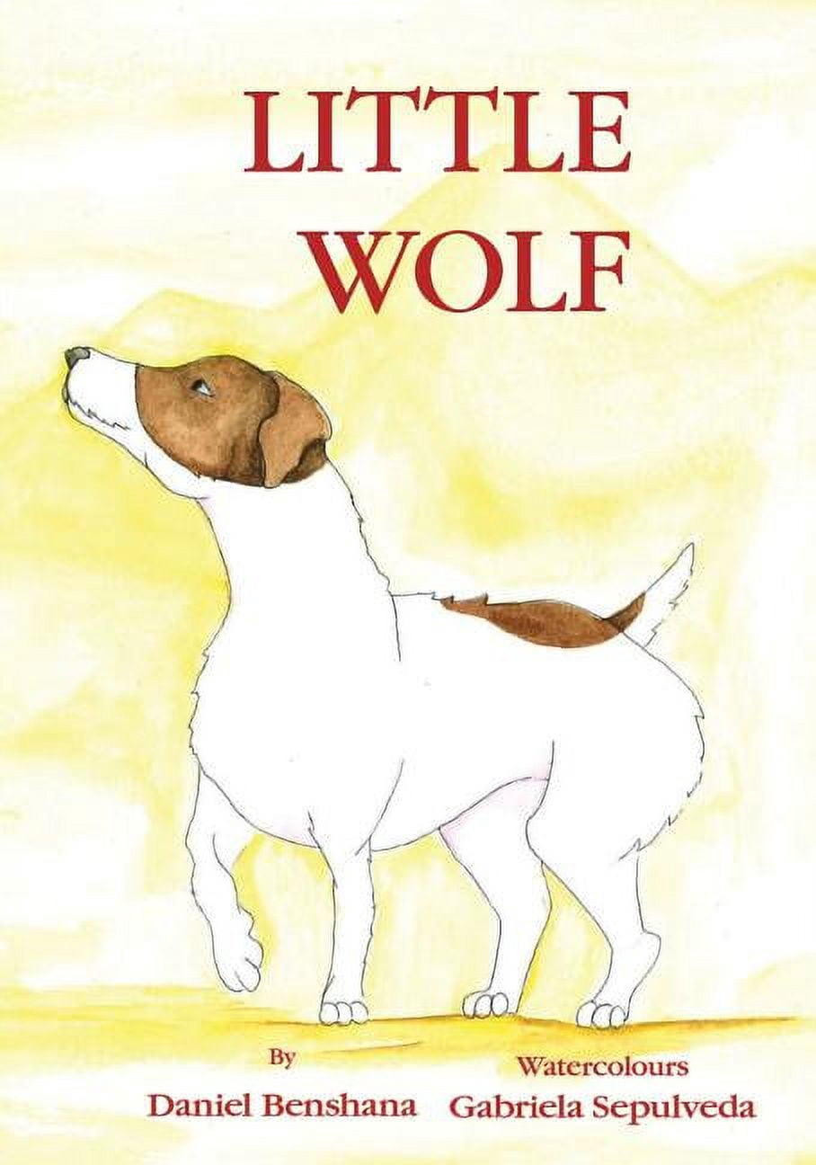 Blueskin: Little Wolf (Series #2) (Paperback) - Walmart.com