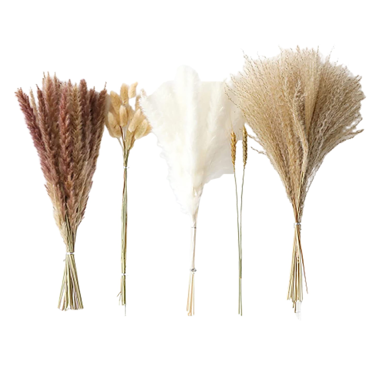 Bluethy 1 Bunch Dry Reed Grass No Watering Non-Withered Easy Care ...