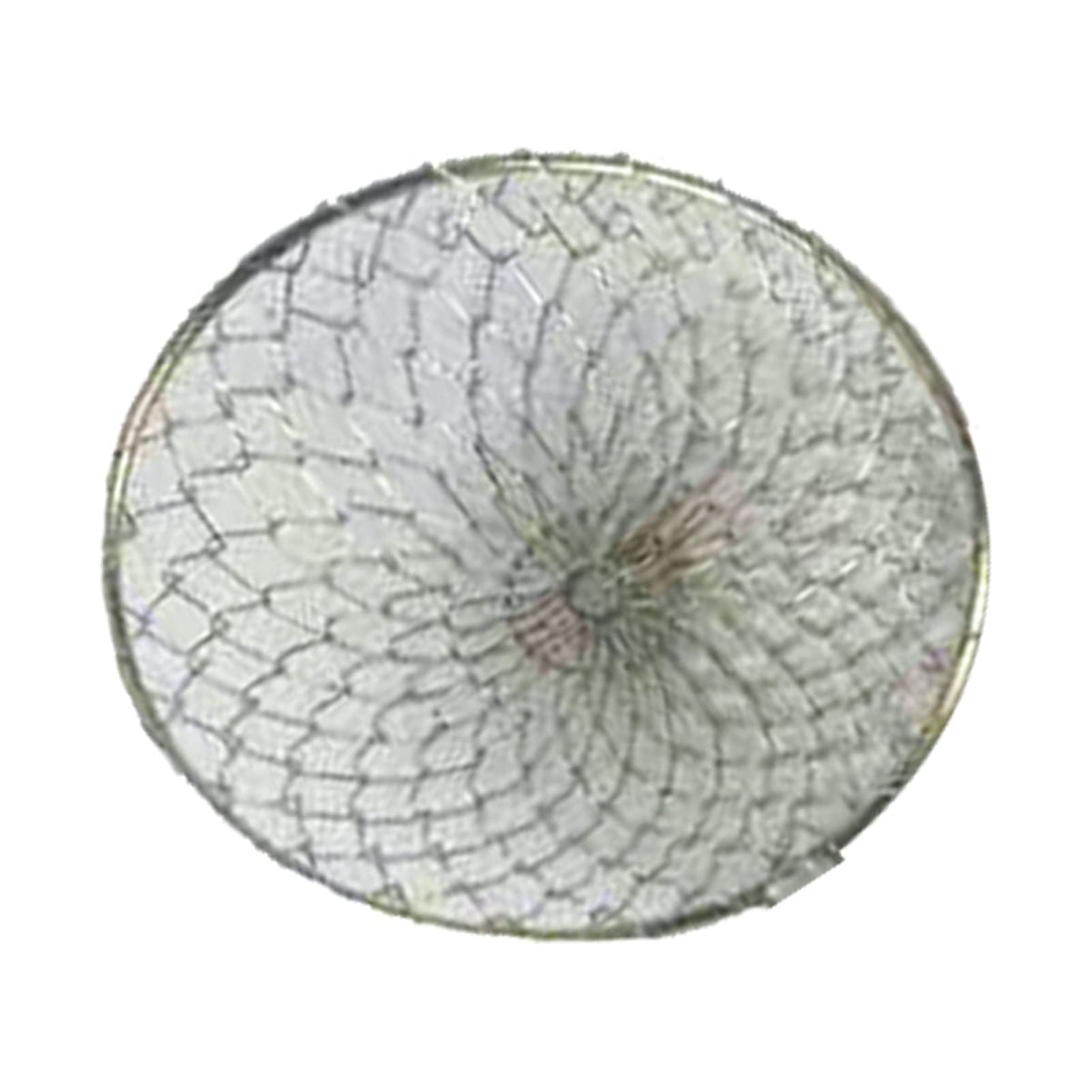 Bluethy 11/13.5cm Ice Fishing Winter Mini Fish Net Strainer Scoop ...