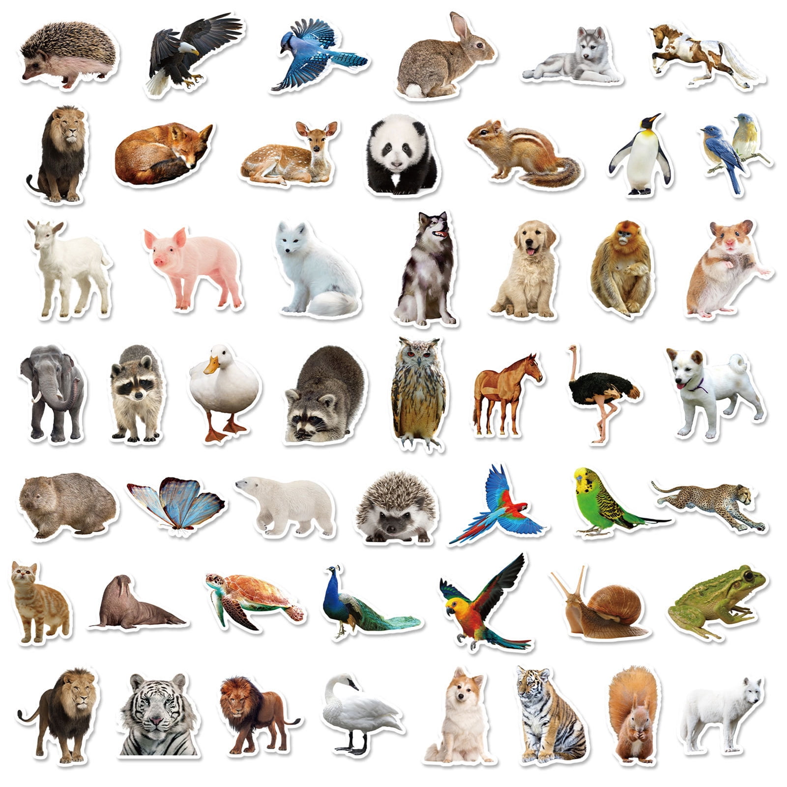 Bluethy 50Pcs Animal Stickers Self Adhesive Waterproof High Viscosity ...